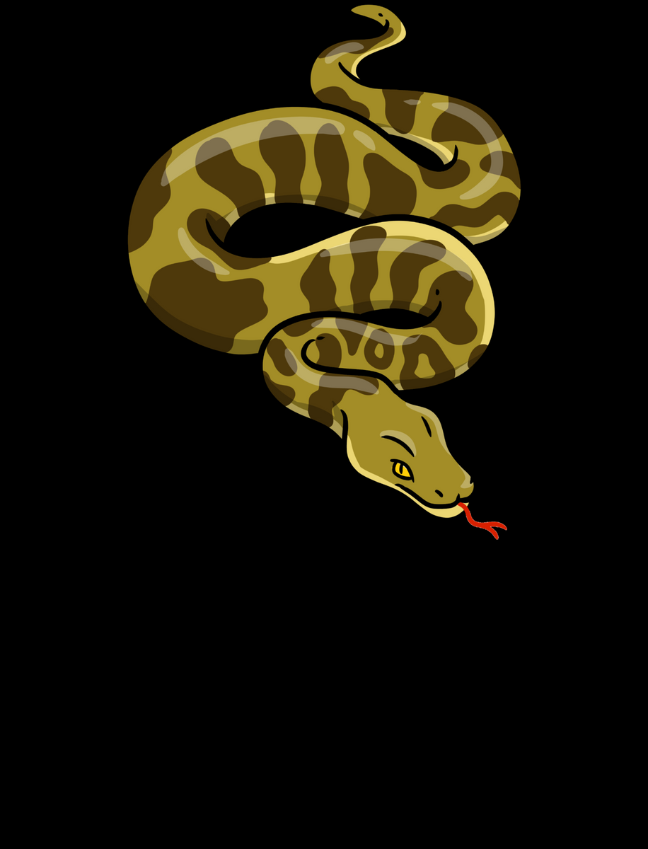 Snakes – Arachnid Shop